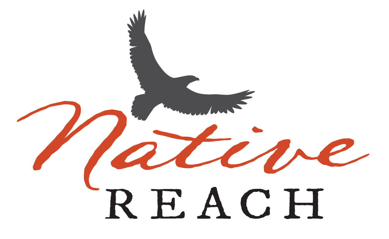 App Preview Native Reach
